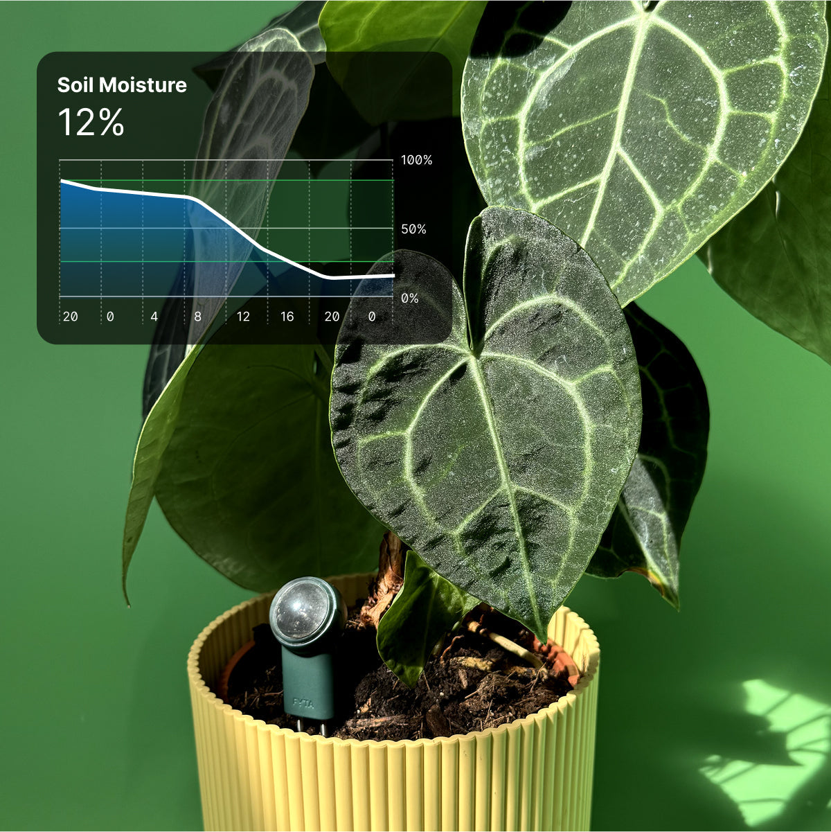 Pflanzensensoren zur Pflanzenpflege App