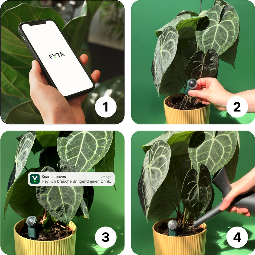 FYTA: the smart plant care